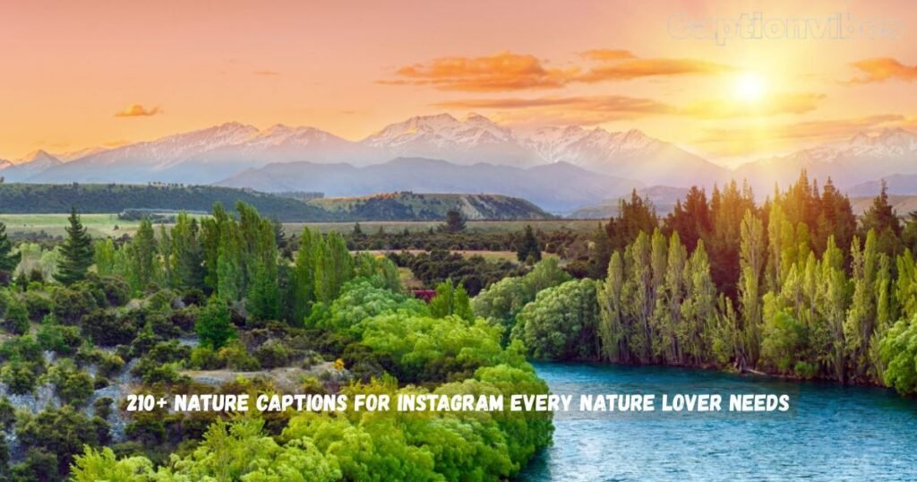 210+ Nature Captions for Instagram Every Nature Lover Needs